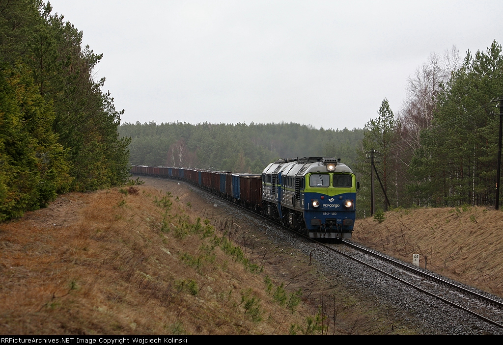 ST44-1213 (ex ST44-1100) + ST44-1099